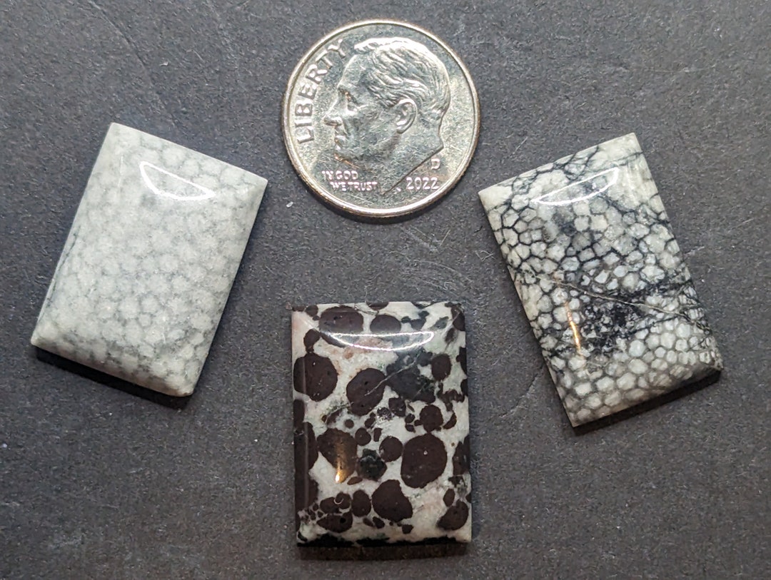 Assorted 22x15mm (appx.) Alaskan Rectangle Cabochon Loose Gemstones - Etsy