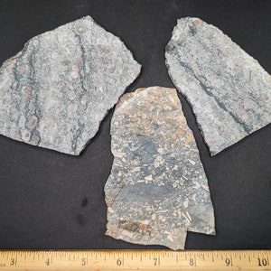 Fossilized Crinoid Rough Lapidary Mineral Slabs Slices - Etsy