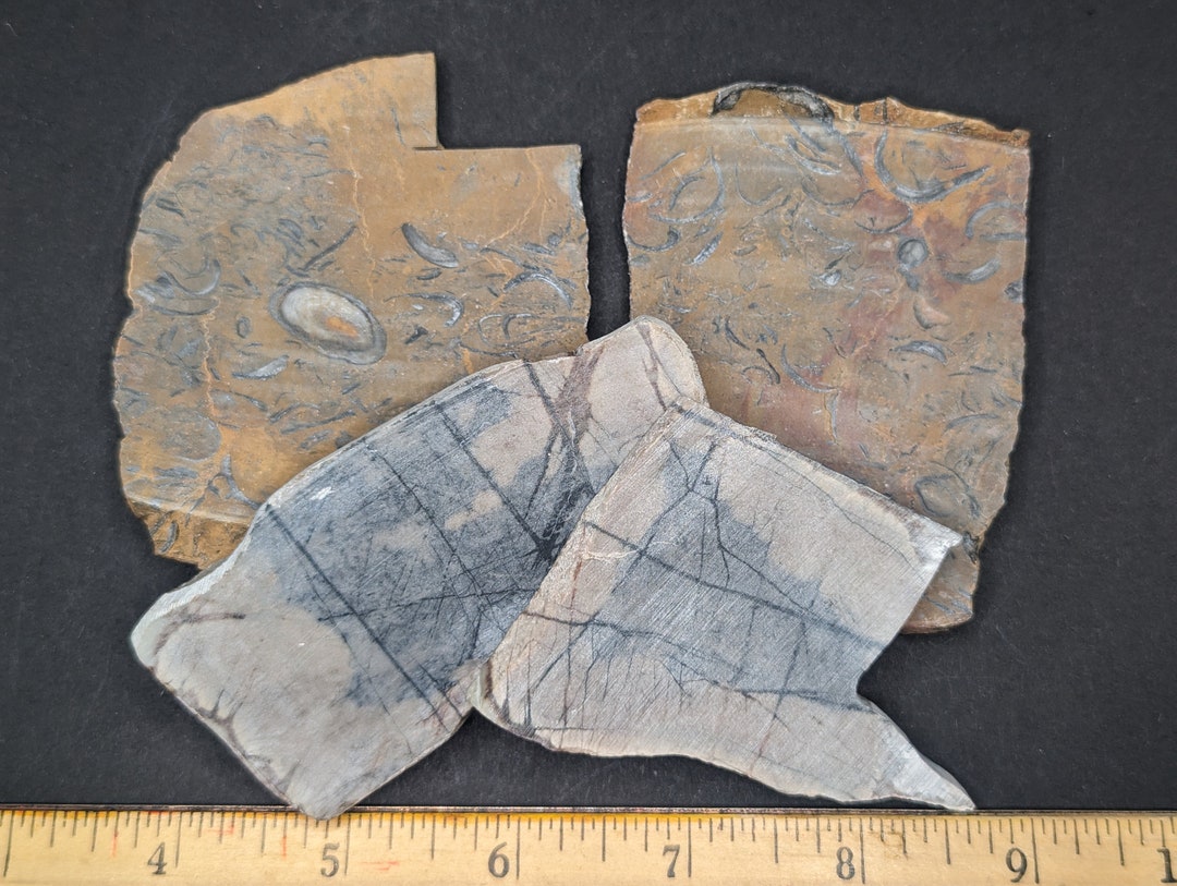 Assorted Marble Rough Lapidary Mineral Slabs Slices - Etsy