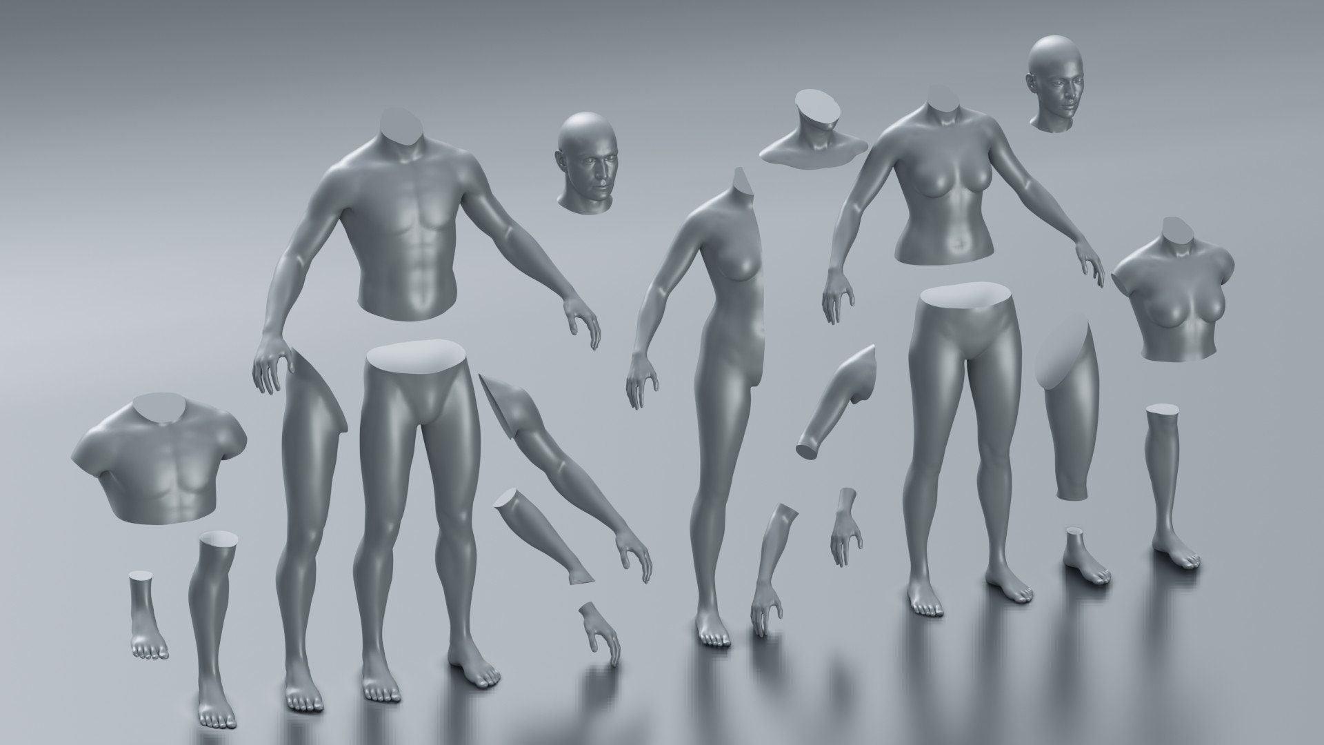 Body Parts 3D Collection of Body Parts for Tattoo Artists - Etsy