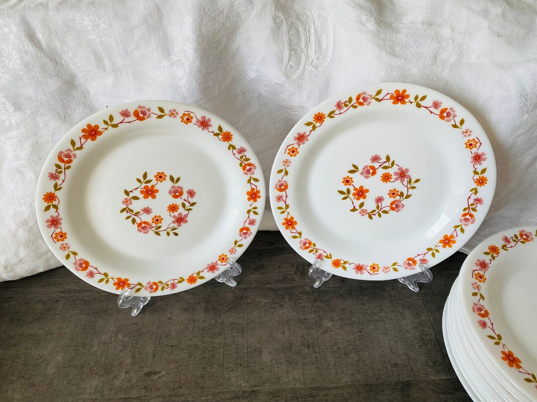 Deep Plate / Arcopal / Scania / 70s Vintage / French Antique / French Antique Arcopal Scania ...