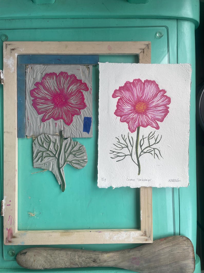 Cosmos ‘candystripe’ Flower Reduction Linocut Print, Hand-printed on ...