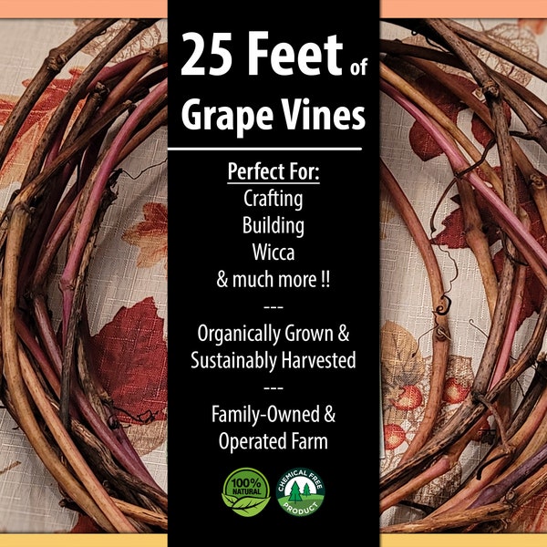 Grape Vine Garland - Etsy