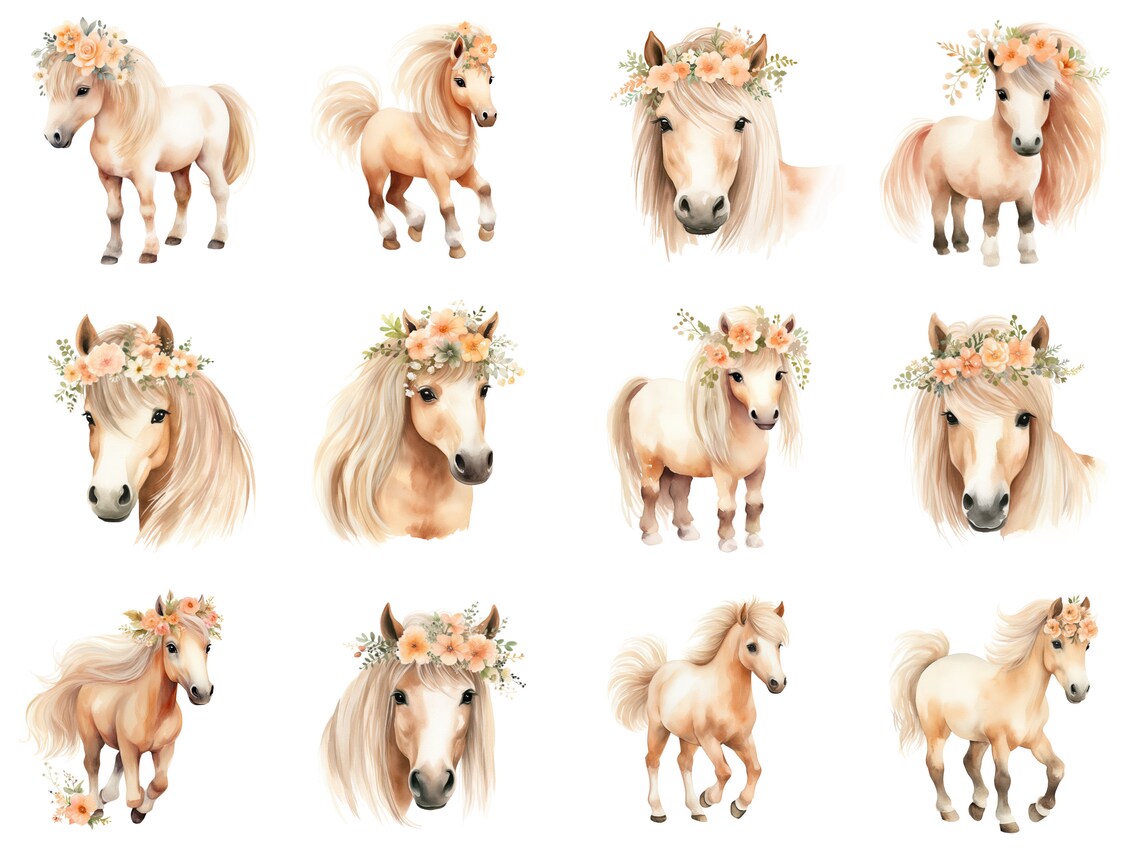 Pony Party Clipart Set - Boho Watercolour Pony Clipart Bundle - Floral ...