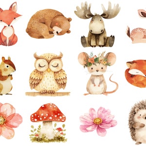 Boho Woodland Clipart - Cute Woodland Animals Clipart - Watercolour ...