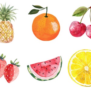 Fruit Clipart PNG - Cute Watercolour Fruits Clipart Bundle ...