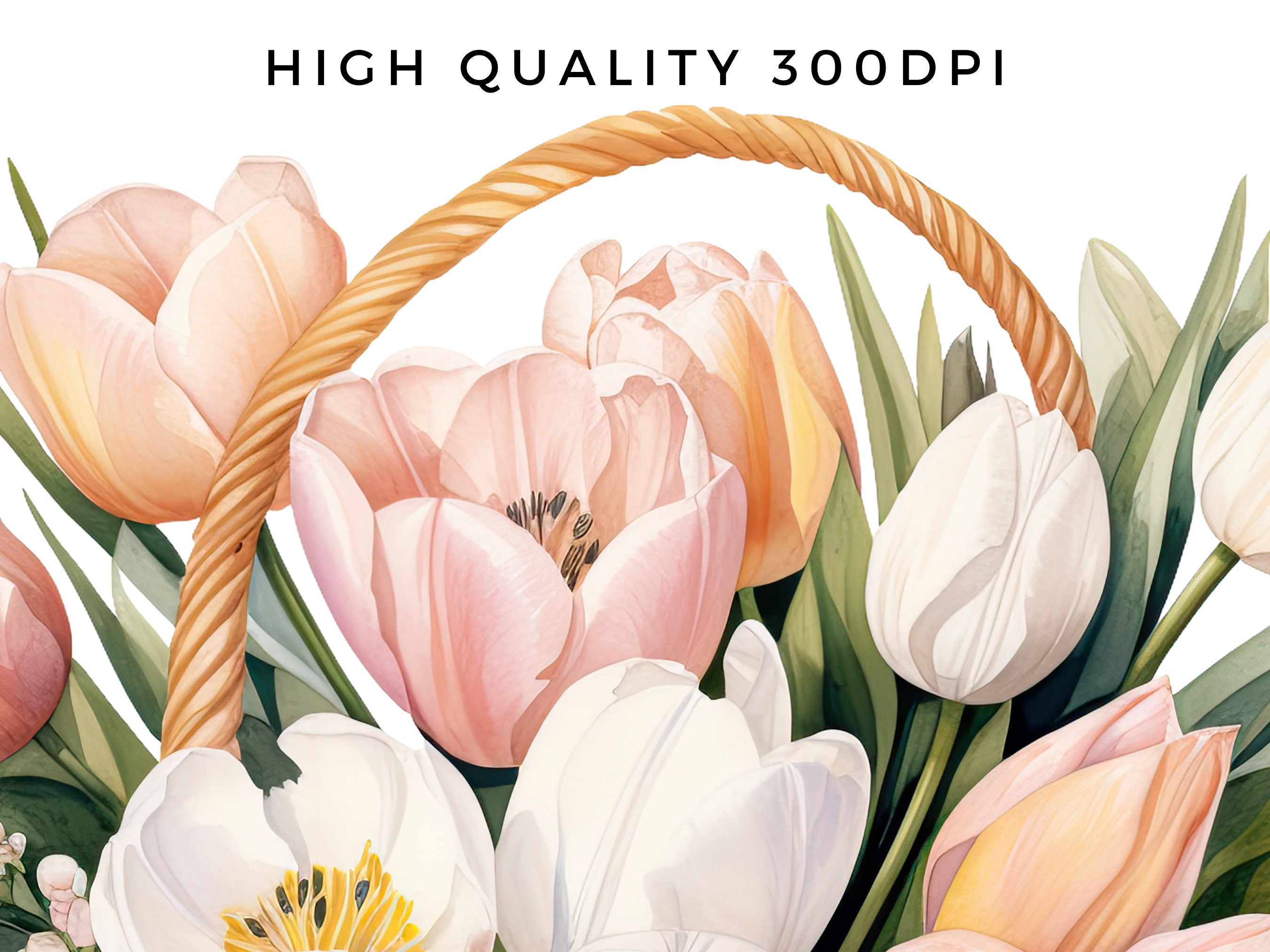 Tulip Baskets Clipart Easter Flowers Clip Art Spring - Etsy
