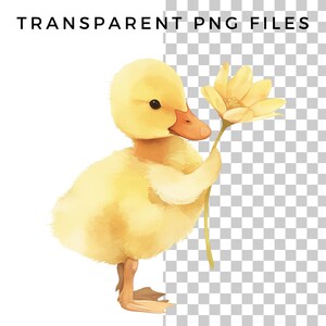 Cute Ducklings Clipart Set - Watercolor Spring Clip Art for Kids Party ...