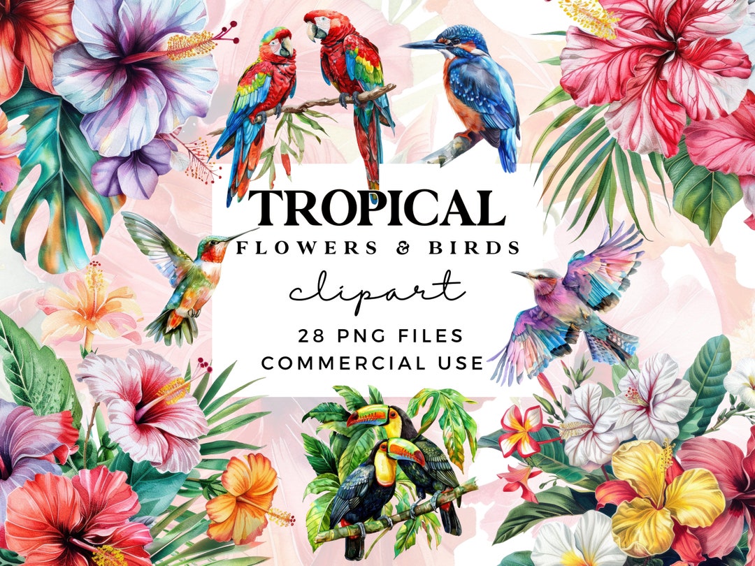 Tropical Clipart PNG - Tropical Flowers and Tropical Birds Clipart ...