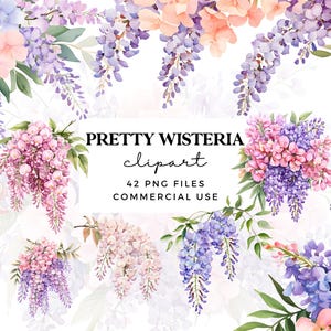 Wisteria Clipart PNG - Watercolour Flowers Clip Art Bundle ...
