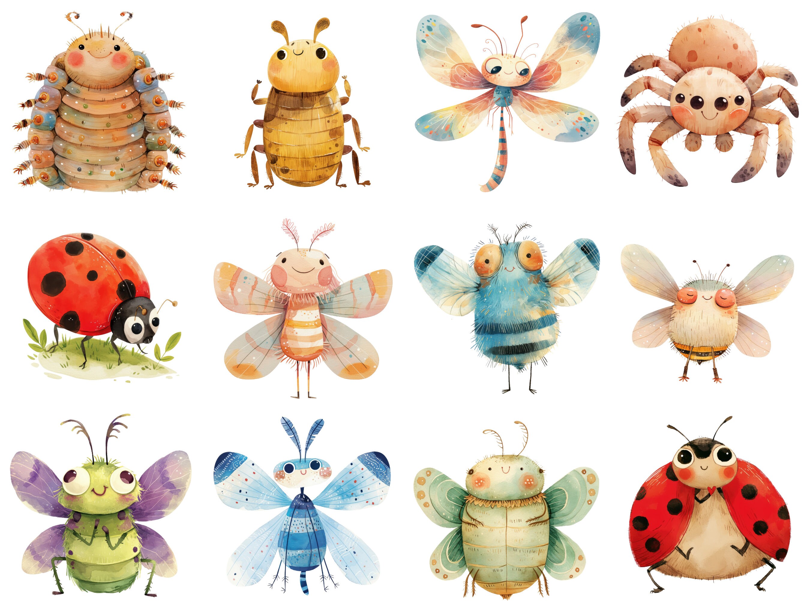 Insects Clipart PNG Cute Insects and Bugs Clipart Bundle Watercolour ...