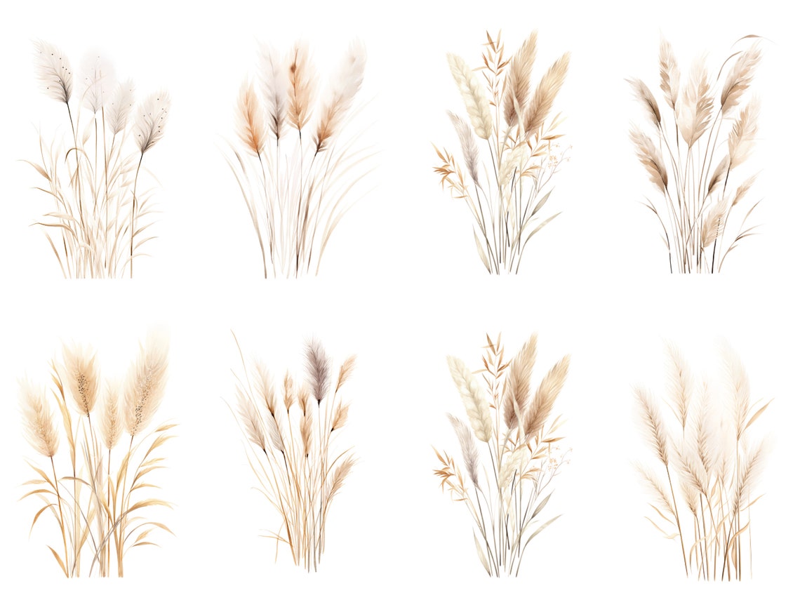 Pampas Grass Clipart Pngs for Commercial Use - Watercolor Boho Flowers ...