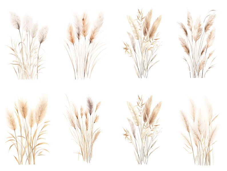Pampas Grass Clipart Pngs for Commercial Use Watercolor Boho Flowers ...