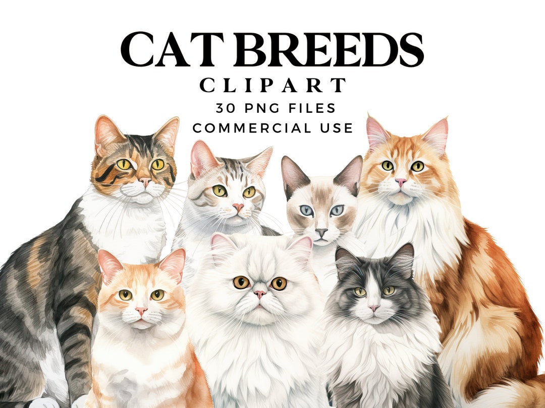 Watercolour Cats Clipart - Watercolor Cat Breed Clip Art Bundle - Pets ...