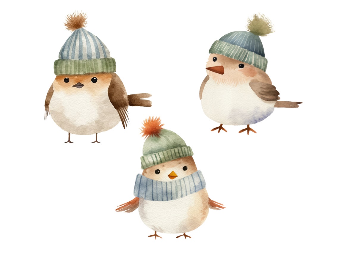 Cute Christmas Birds Clipart Watercolour Bird Clip Art Illustrations ...