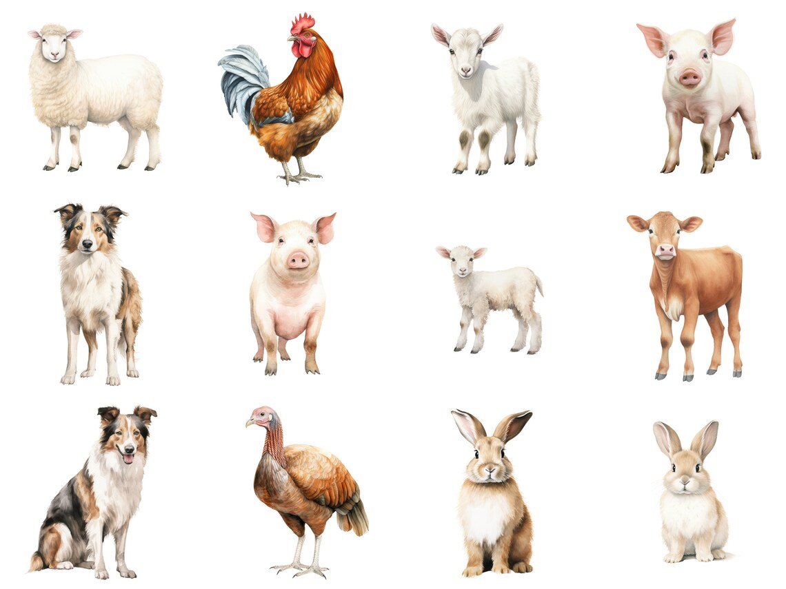 Farm Animals Clipart Watercolor Clipart for Commercial Use Farm Clip ...