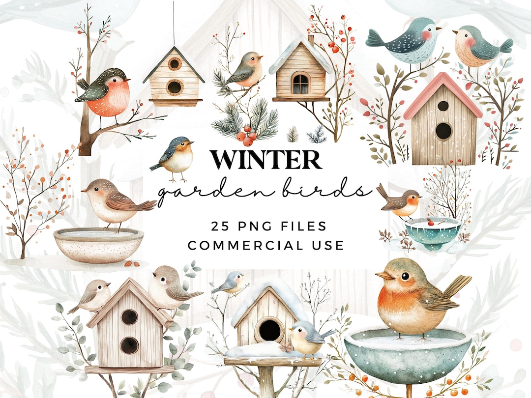 Christmas Birds Clipart - Watercolour Cute Bird Clip Art Illustrations ...