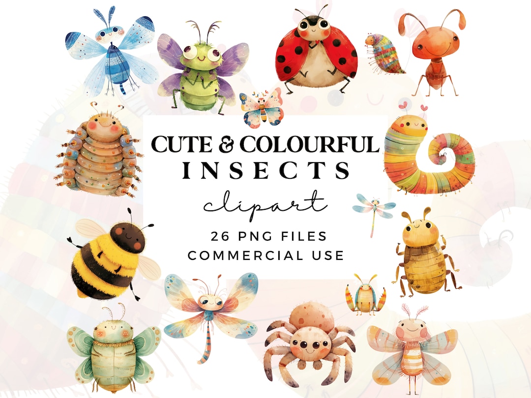Insects Clipart PNG - Cute Insects and Bugs Clipart Bundle ...