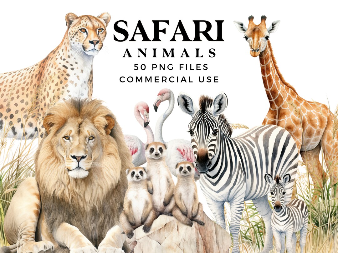 Safari Animals Clipart - Watercolor Clipart for Commercial Use ...