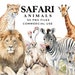 Safari Animals Clipart Watercolor Clipart for Commercial Use African ...