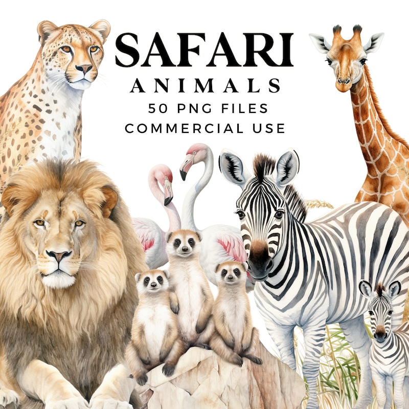 African Safari Scrapbook - Etsy