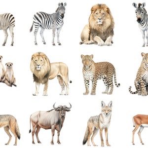 Safari Animals Clipart - Watercolor Clipart for Commercial Use ...