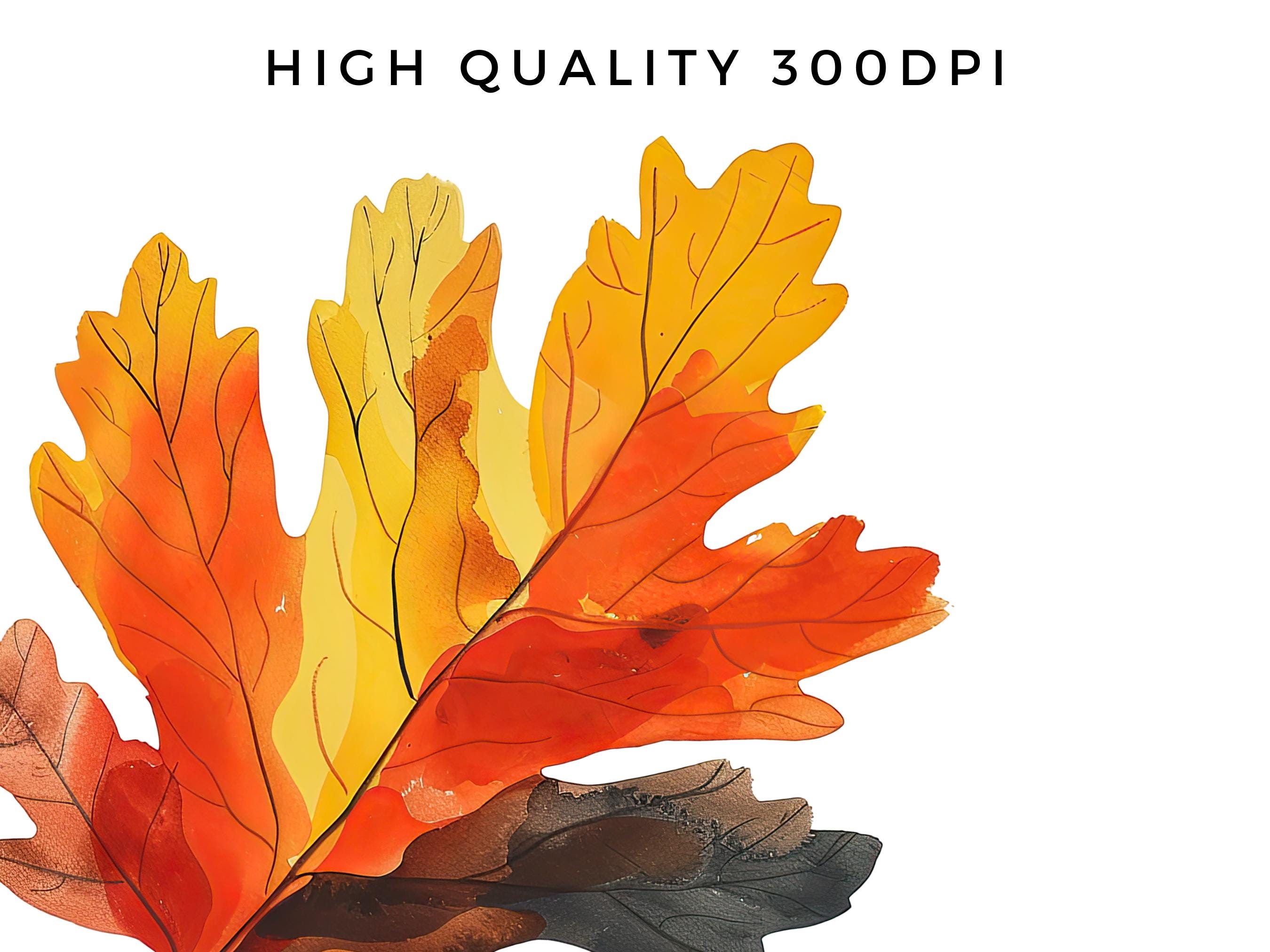 Autumn Leaves Clipart - Folk Art Fall Leaf Clip Art - Thanksgiving ...