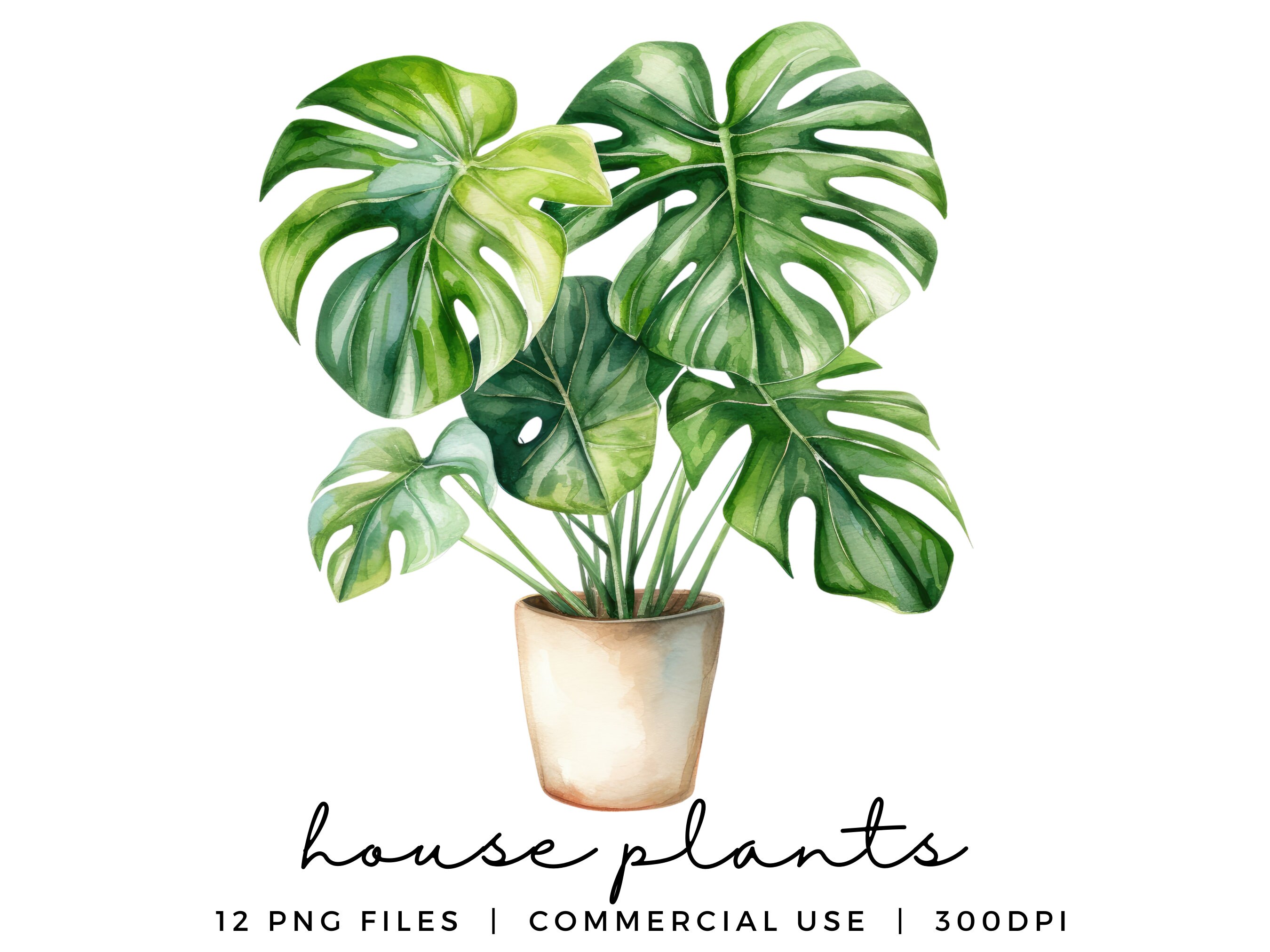 Watercolour Houseplants Clipart House Plant Clip Art Illustrations ...