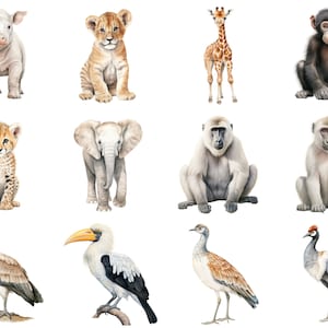 Safari Animals Clipart - Watercolor Clipart for Commercial Use ...
