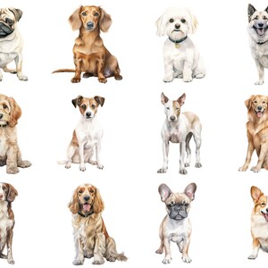 Watercolour Dog Clipart - Watercolor Dog Breed Clip Art Bundle - Pets ...