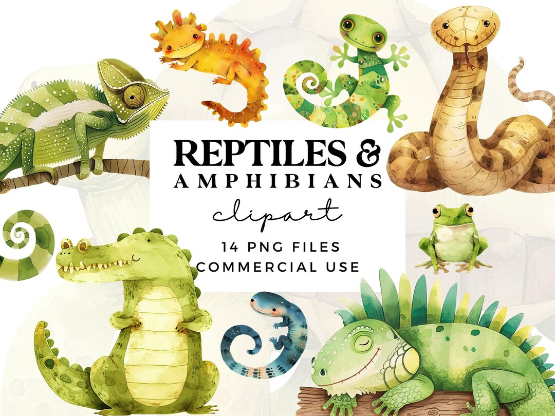 Reptiles & Amphibians Clipart Bundle - Cute Reptile Clipart - Cute ...
