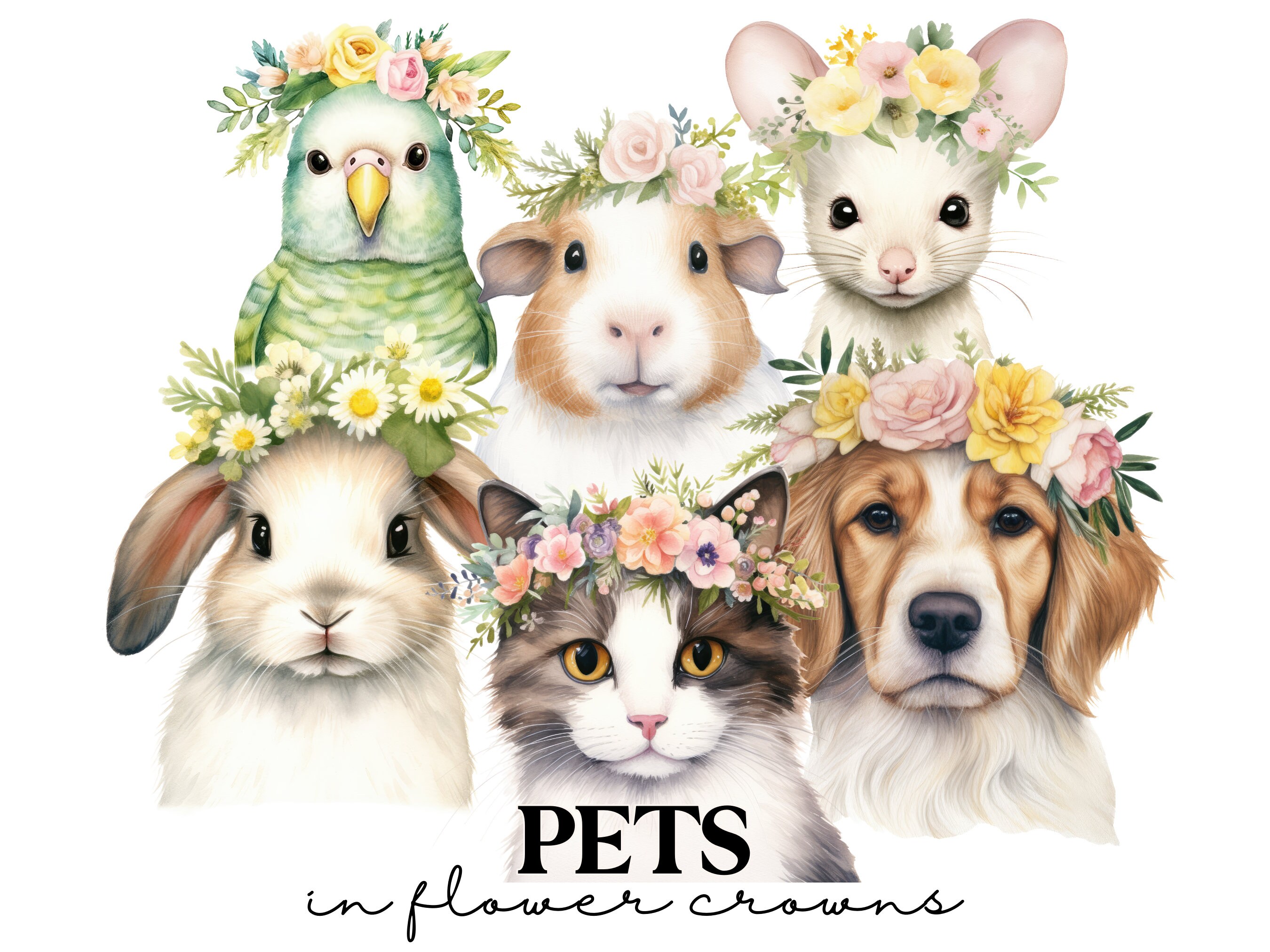 Cute Animal Clipart Bundle - Commercial Use - Watercolour Animals ...