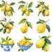 Watercolour Lemons Clipart - Blue Mediterranean Tiles Clipart Bundle ...