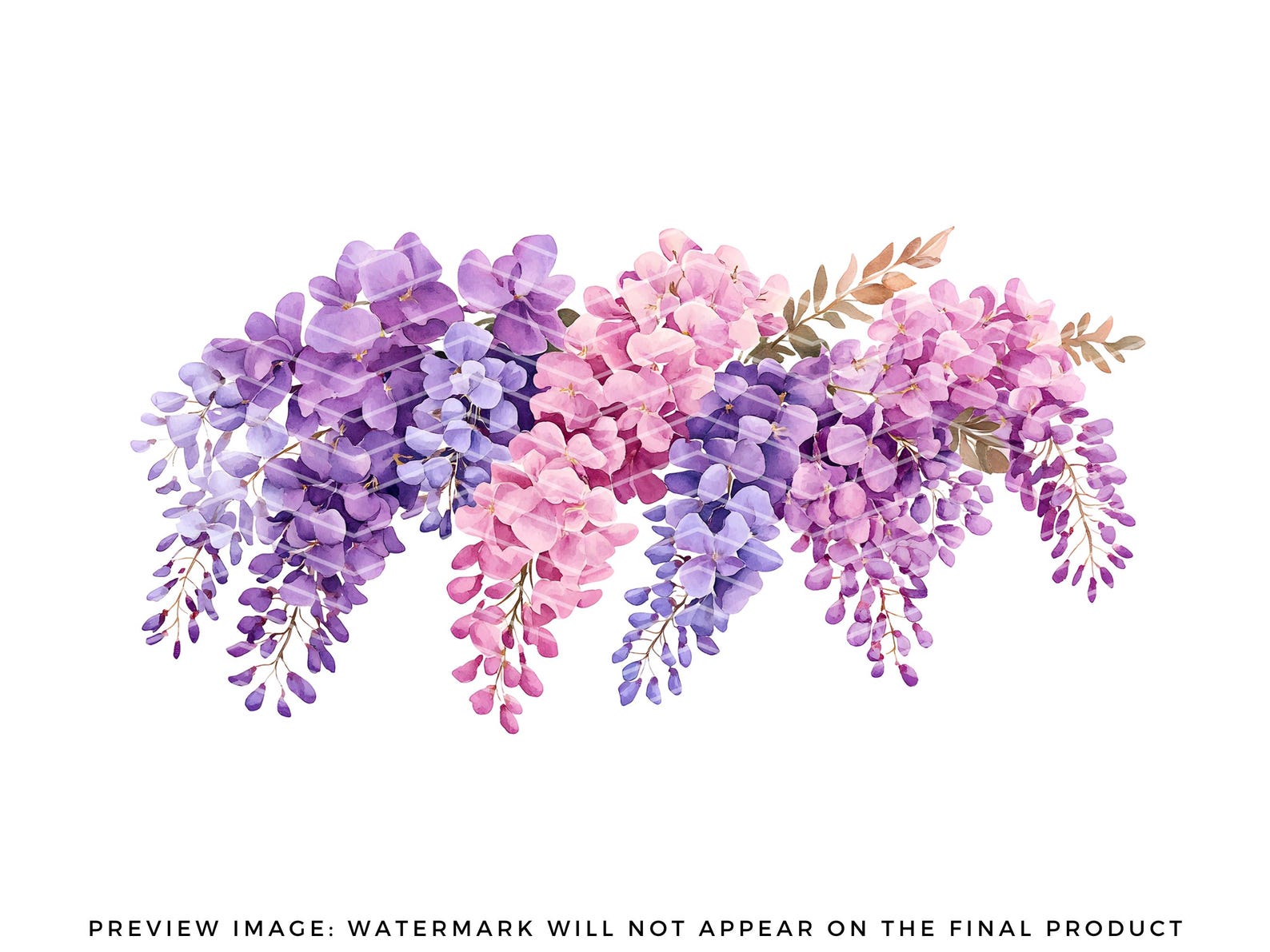 Wisteria Clipart PNG - Watercolour Flowers Clip Art Bundle ...