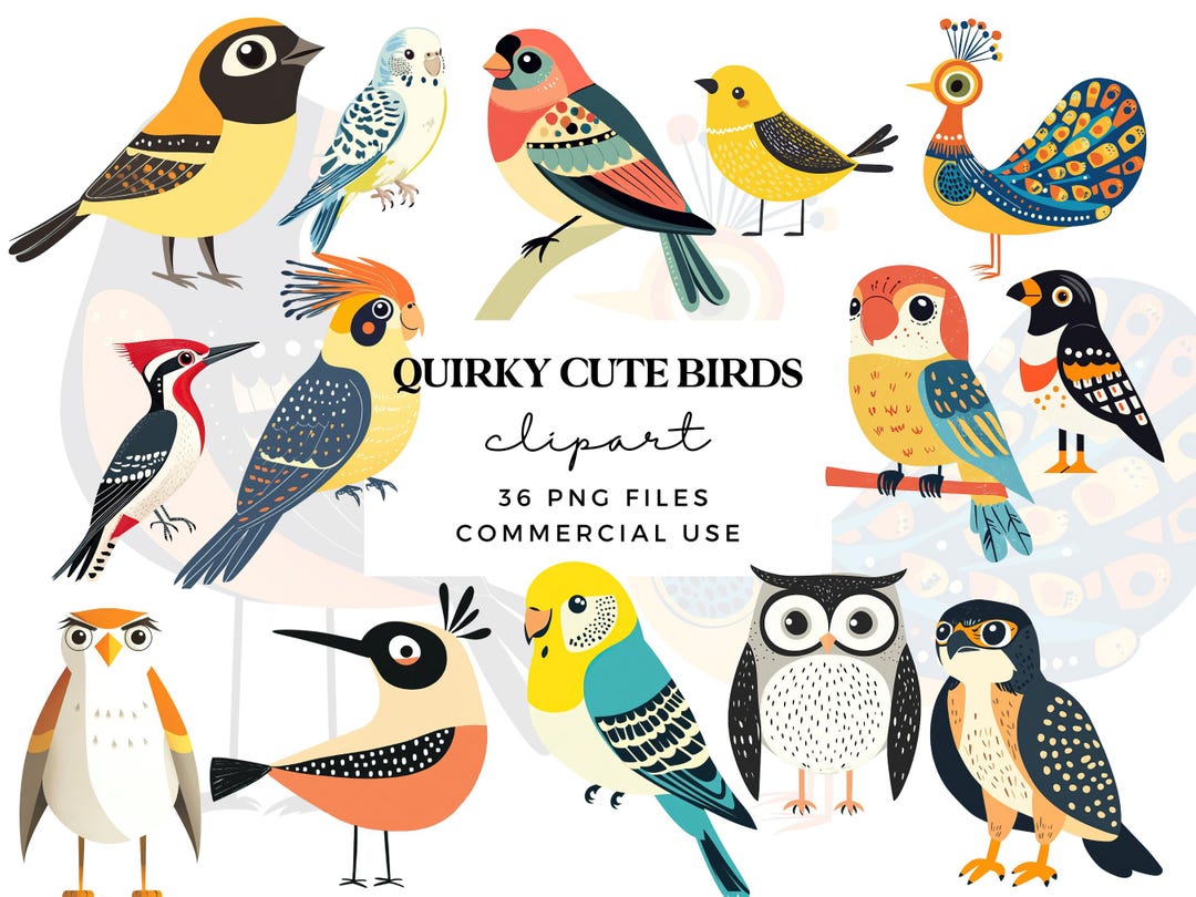 Quirky Birds Clipart PNG - Cute Cartoon Birds Clipart - Funny Bird ...
