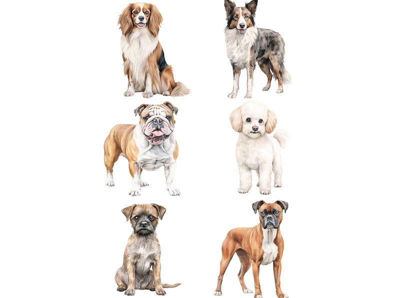 Watercolour Dog Clipart Watercolor Dog Breed Clip Art Bundle Pets ...