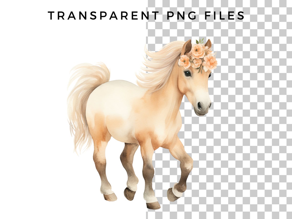 Pony Party Clipart Set - Boho Watercolour Pony Clipart Bundle - Floral ...