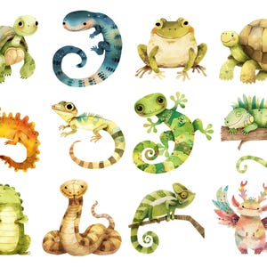Reptiles & Amphibians Clipart Bundle - Cute Reptile Clipart - Cute ...