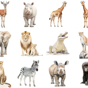 Safari Animals Clipart - Watercolor Clipart for Commercial Use ...