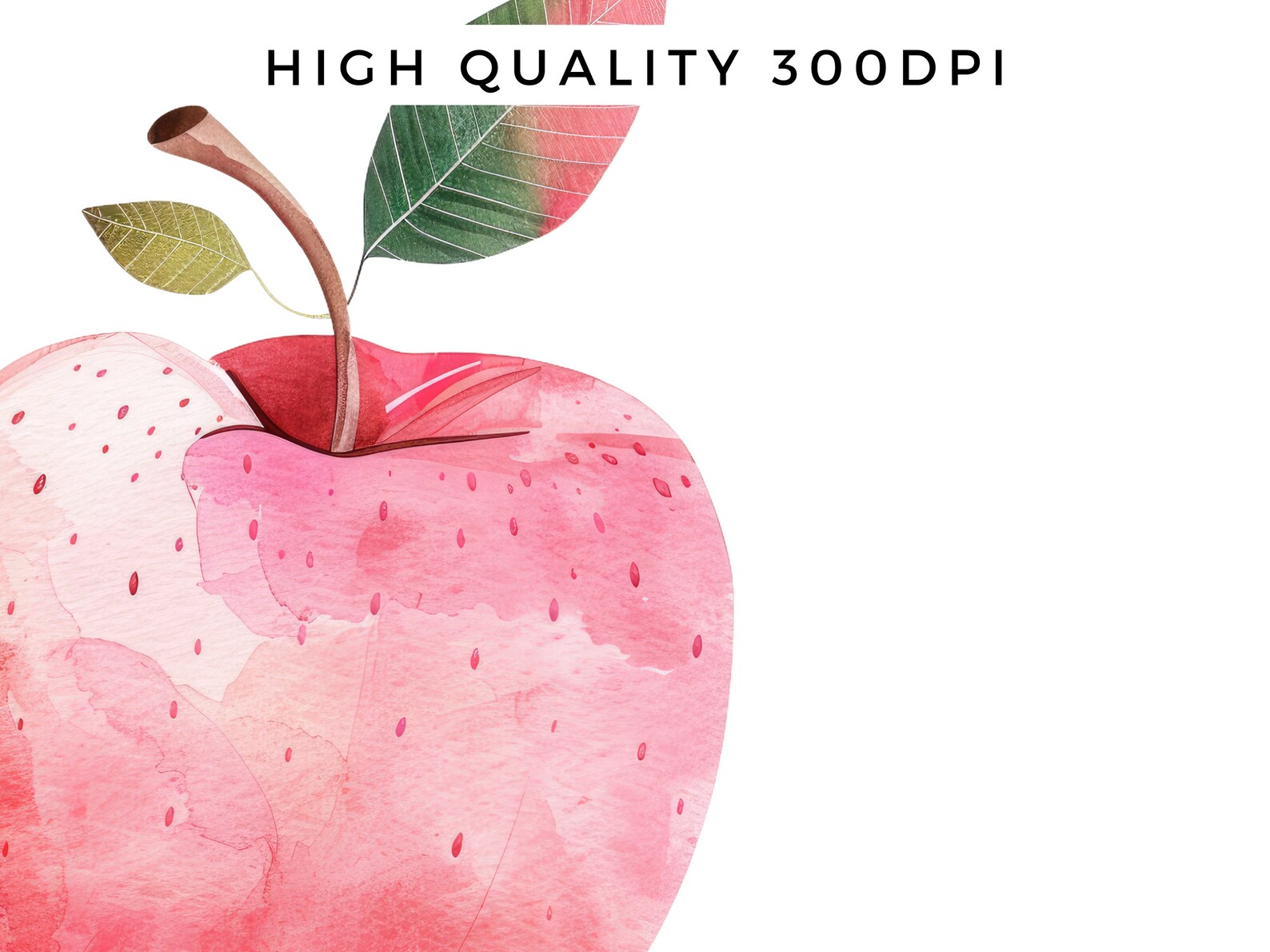 Fruit Clipart PNG - Cute Watercolour Fruits Clipart Bundle ...