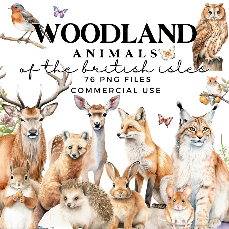 Woodland Animals Clipart - Etsy