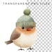 Cute Christmas Birds Clipart - Watercolour Bird Clip Art Illustrations ...