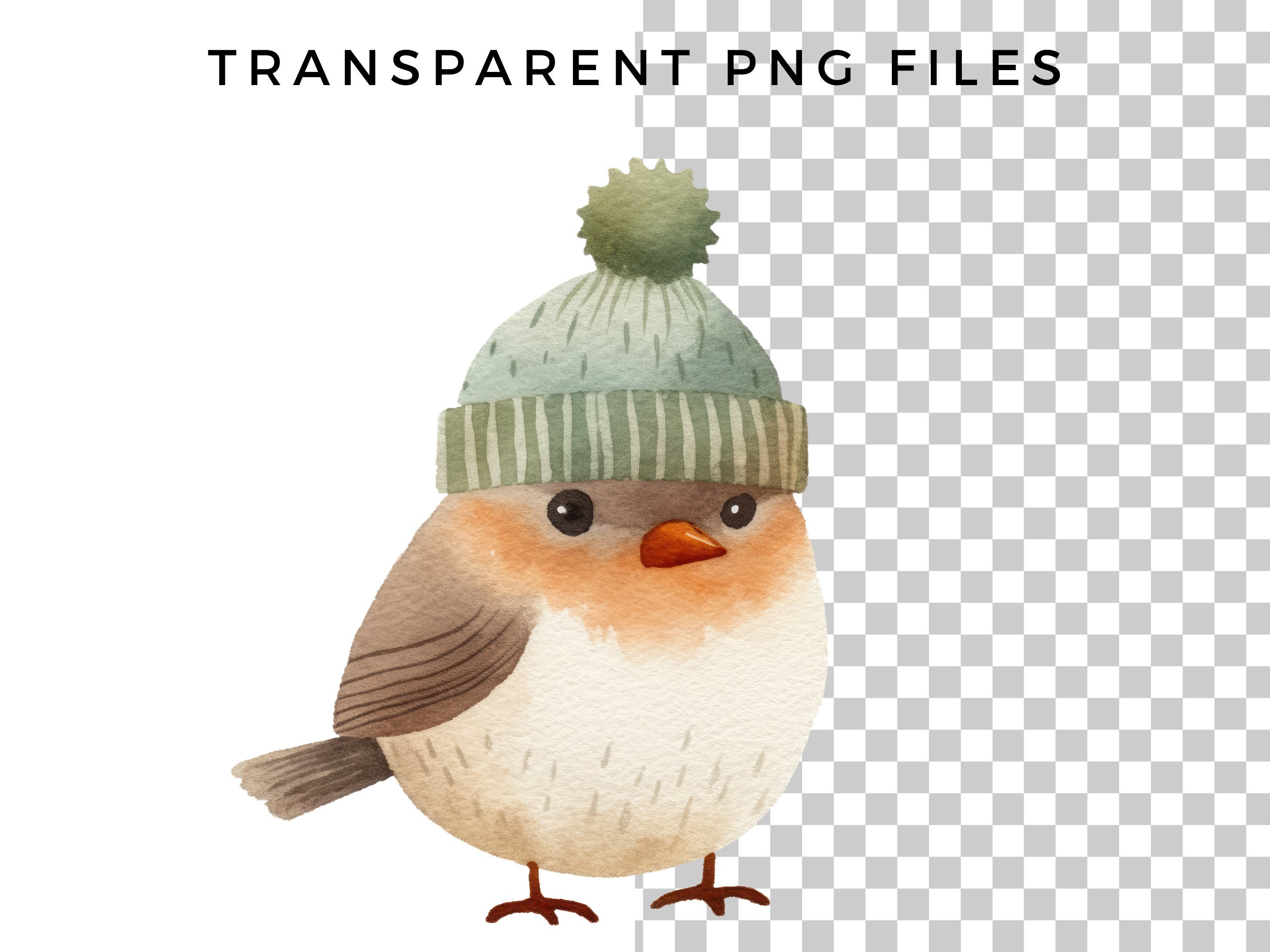 Cute Christmas Birds Clipart Watercolour Bird Clip Art Illustrations ...