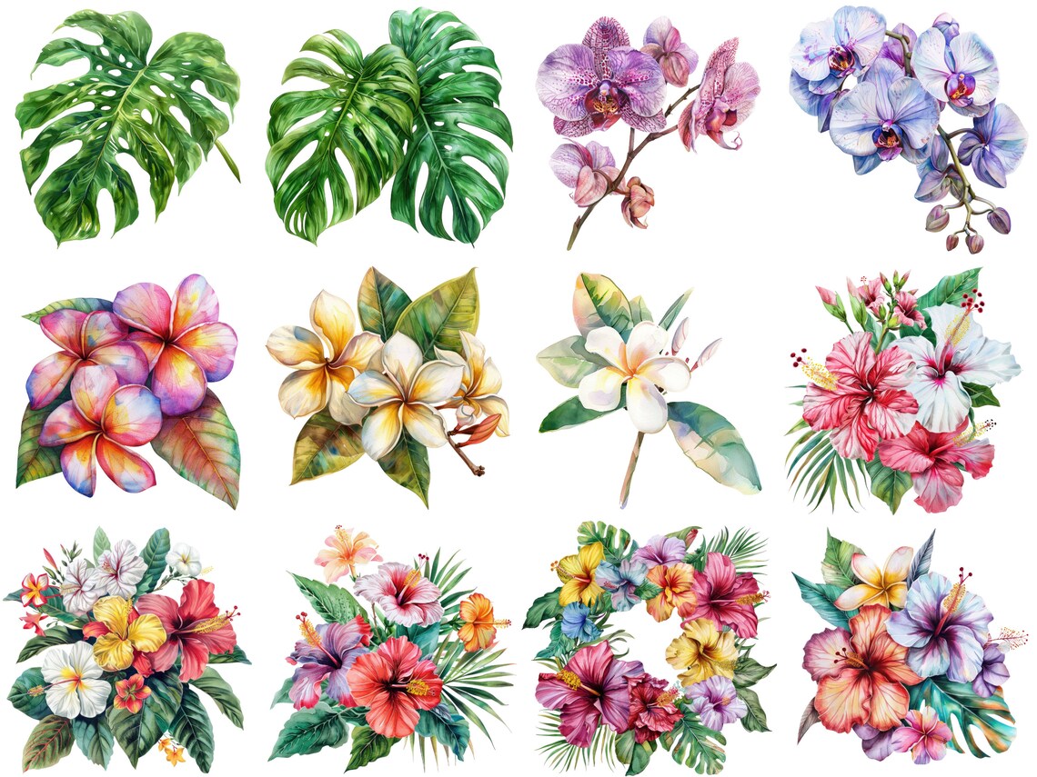 Tropical Clipart PNG Tropical Flowers and Tropical Birds Clipart Bundle ...