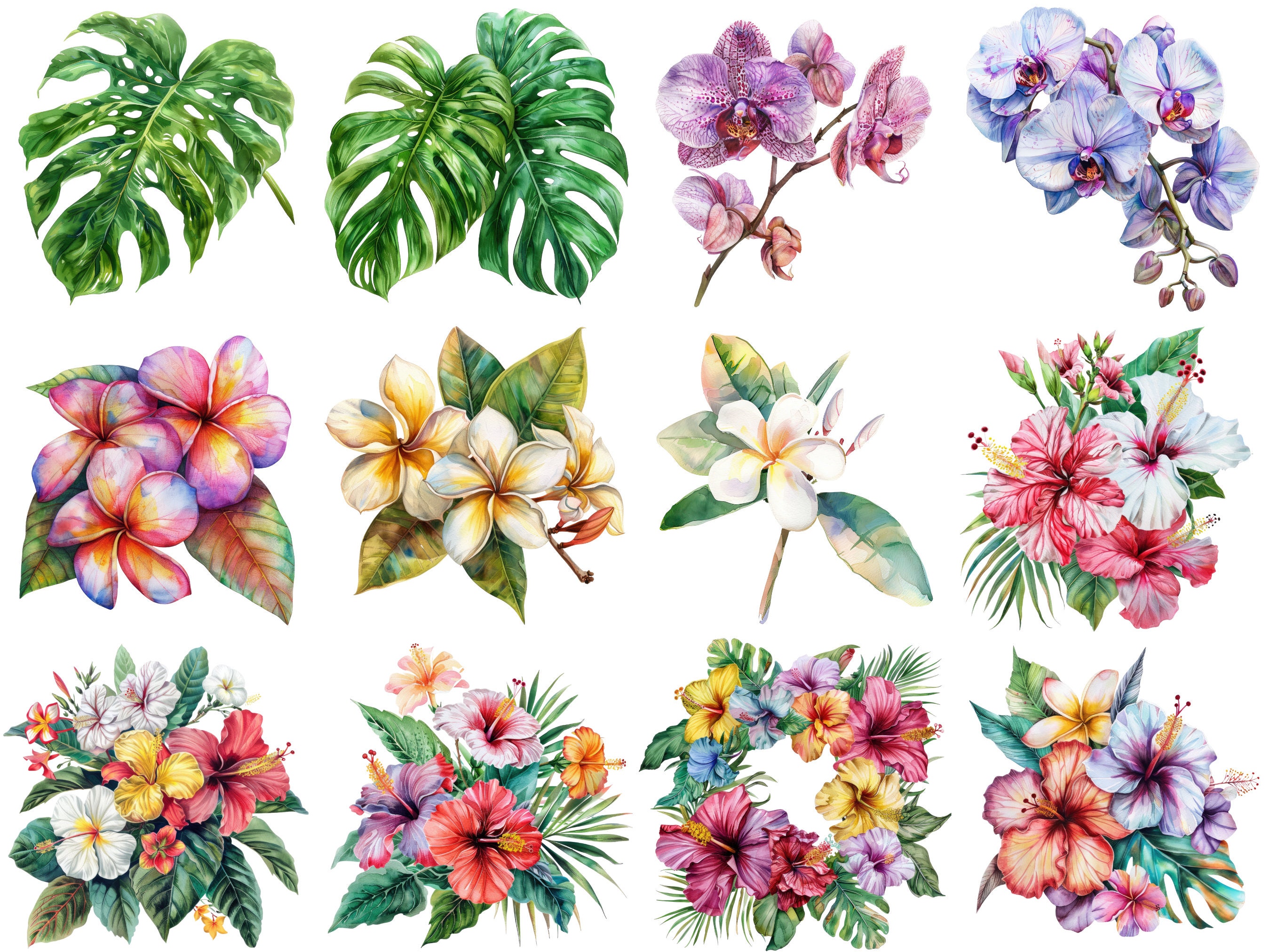 Tropical Clipart PNG Tropical Flowers and Tropical Birds Clipart Bundle ...