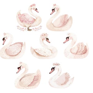 Swan Clipart Set - Pink Watercolour Swans Clip Art for Nursery Wall Art ...