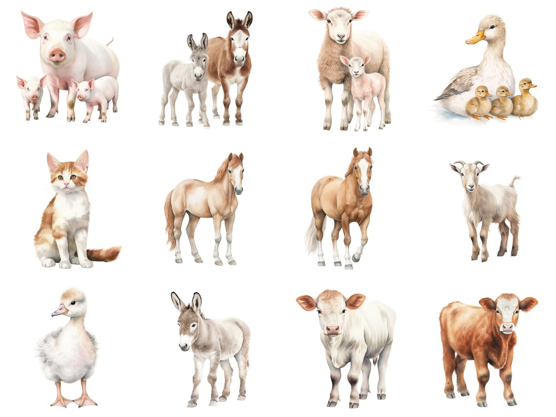 Farm Animals Clipart Watercolor Clipart for Commercial Use Farm Clip ...