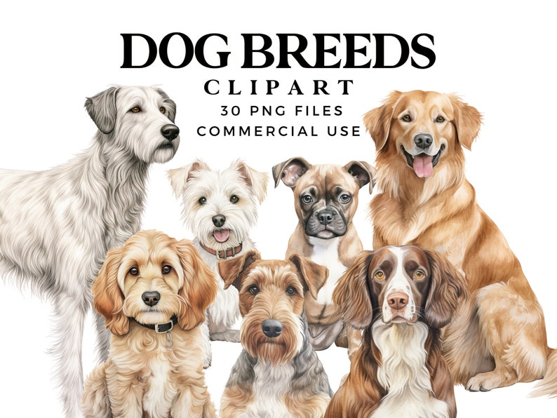 Watercolour Dog Clipart Watercolor Dog Breed Clip Art Bundle - Etsy