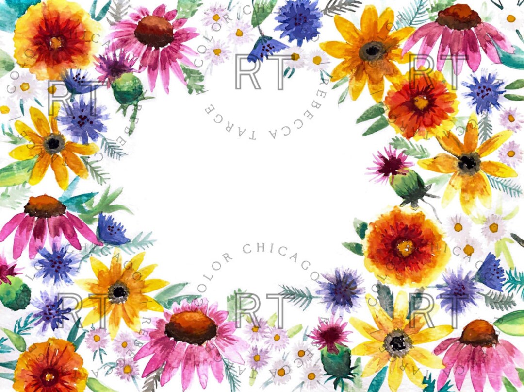 Native Chicago Flowers Watercolor - Etsy