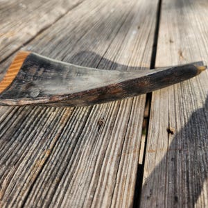 Goat Horn Pan Primer With a Hedge Plug on the End. - Etsy